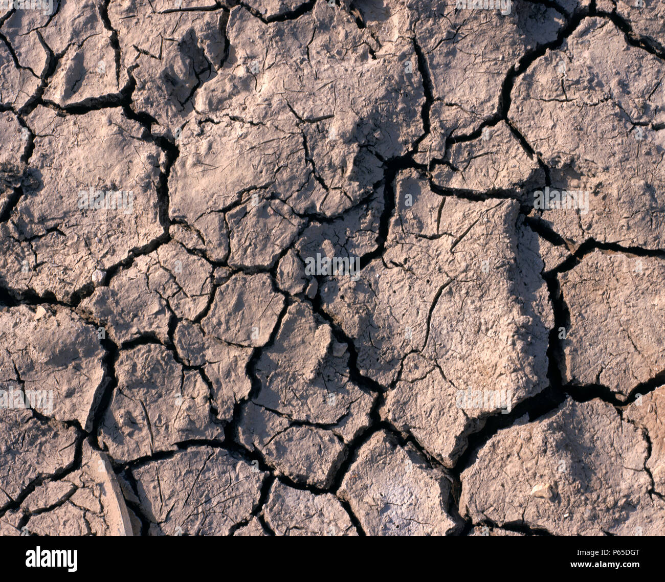 Mud during hi-res stock photography and images - Alamy