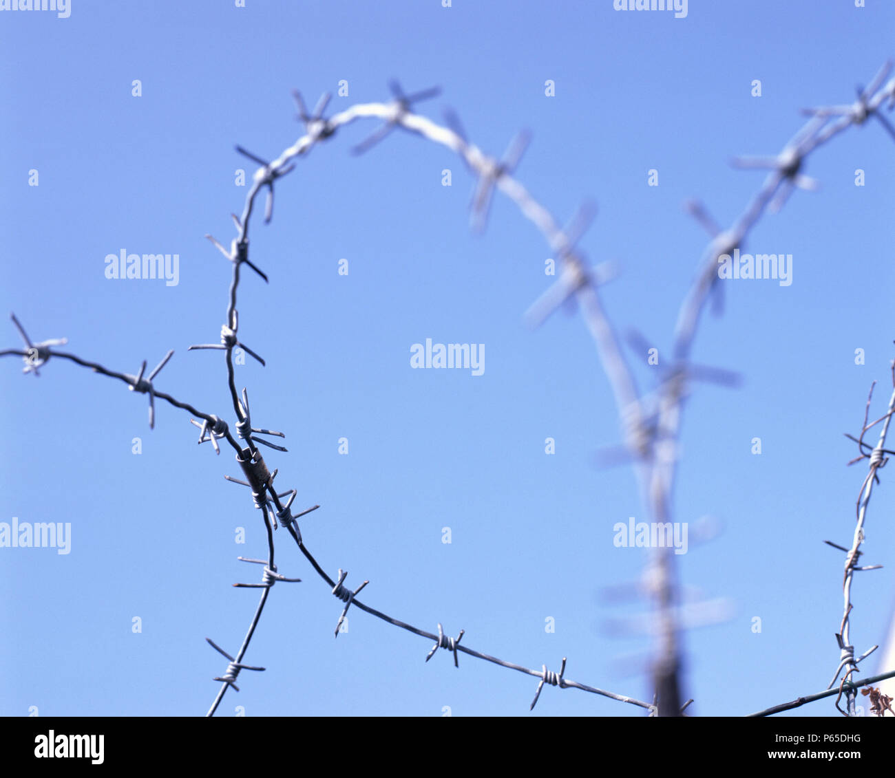 Detail of coiled barbed wire fence Stock Photo - Alamy