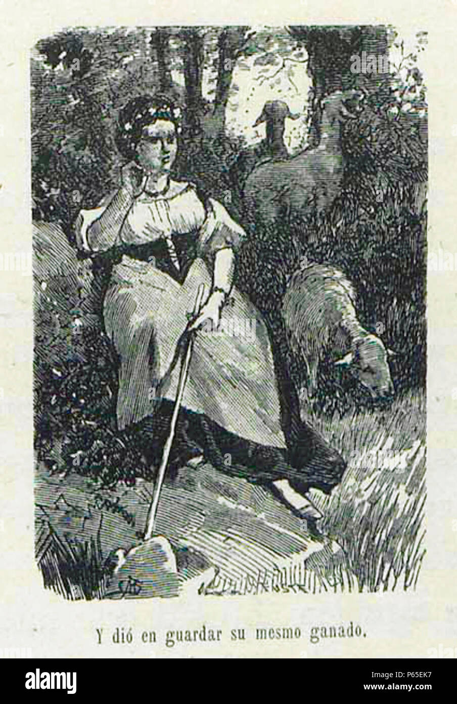 El ingenioso hidalgo don quijote de la mancha hi-res stock photography ...