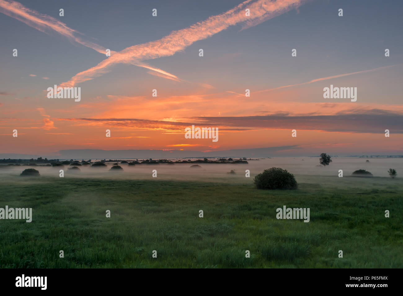 Natural Park of Biebrza Valley - sunrise over medow and pool Stock ...