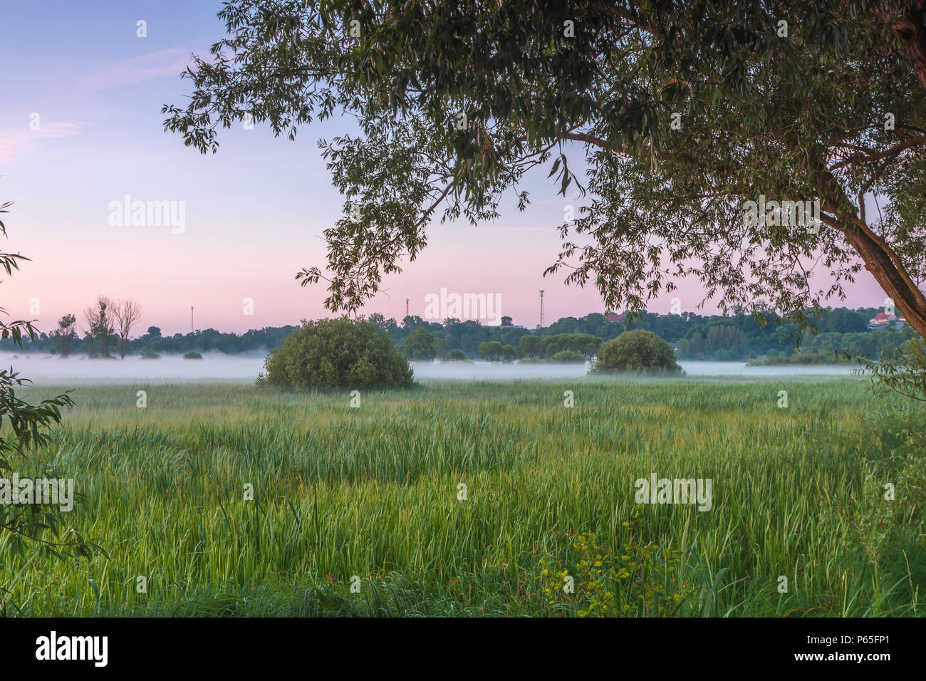 Natural Park of Biebrza Valley - sunrise over medow and pool Stock ...
