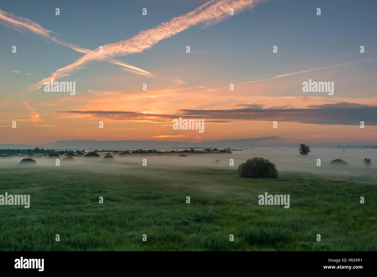Natural Park of Biebrza Valley - sunrise over medow and pool Stock ...