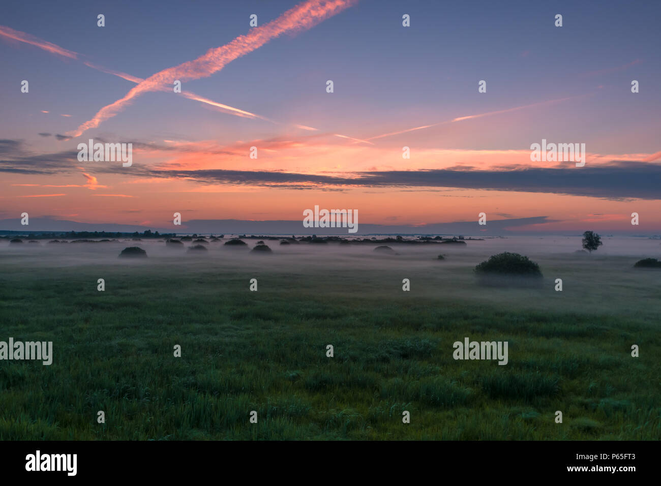 Natural Park of Biebrza Valley - sunrise over medow and pool Stock ...