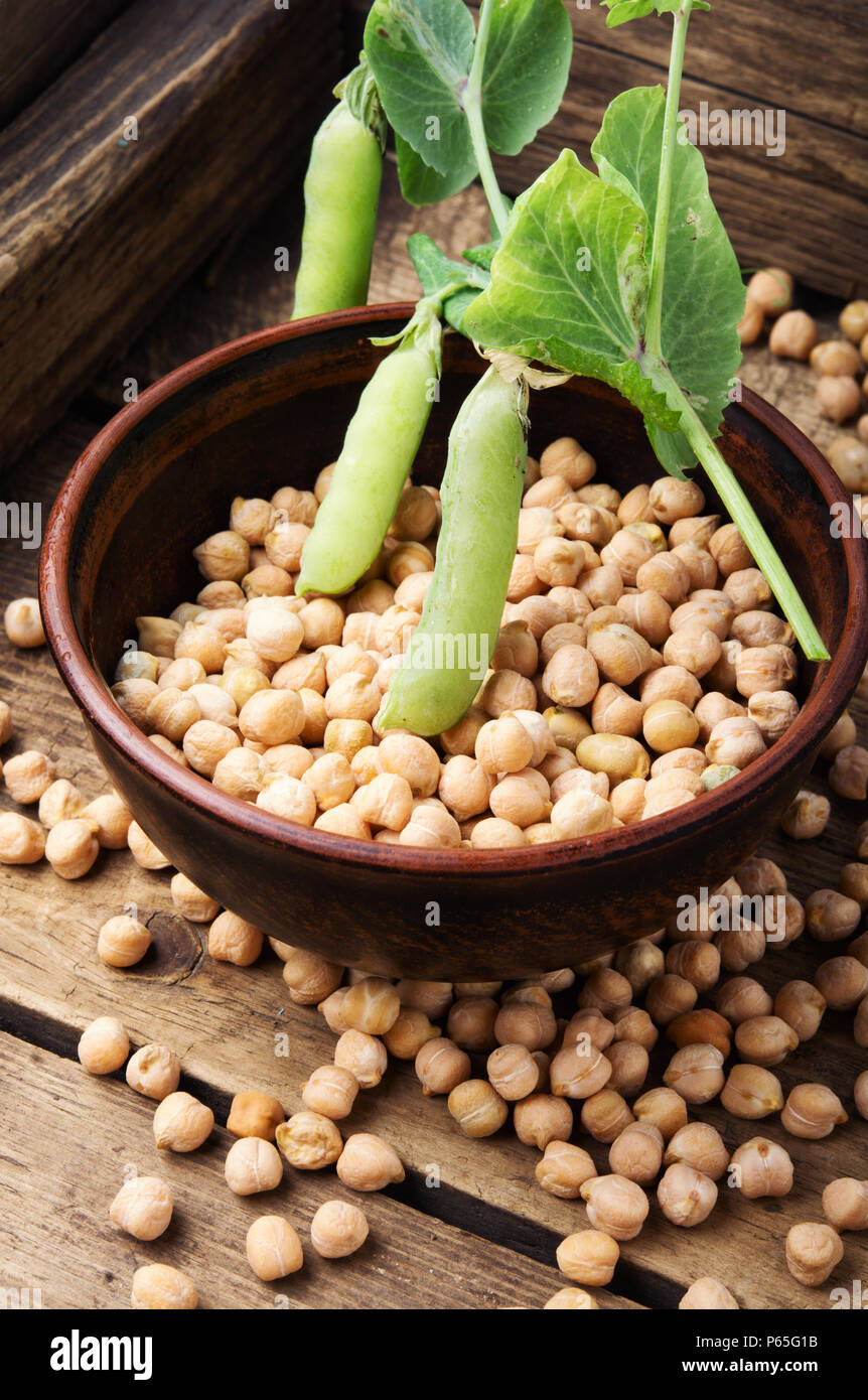 Chickpea-for cooking traditional dishes of Middle Eastern cuisines ...