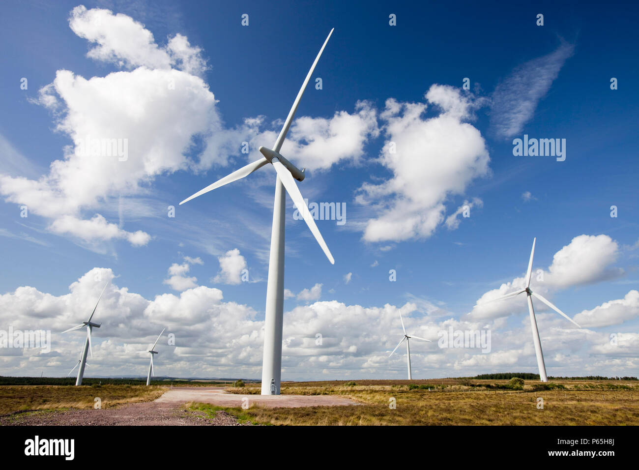 Black Law wind farm near Carluke in Scotland, UK. When it was ...