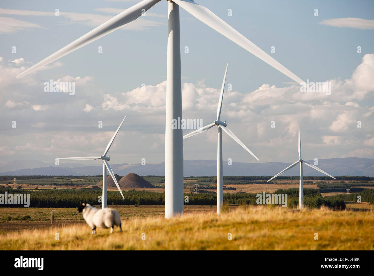 Black Law wind farm near Carluke in Scotland, UK. When it was ...