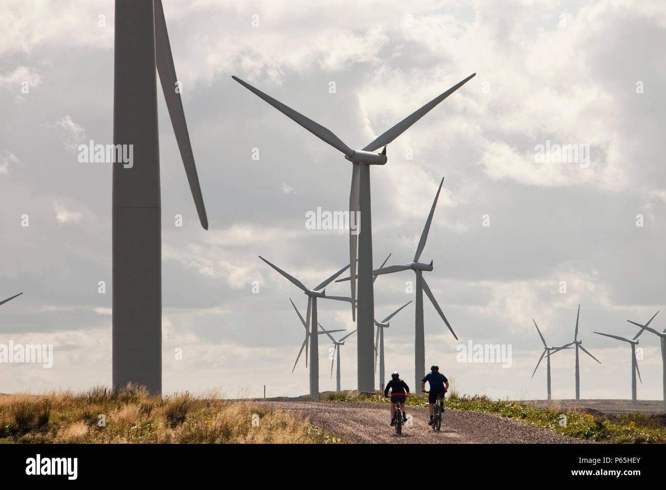Mountain bikers at Black Law wind farm near Carluke in Scotland, UK ...