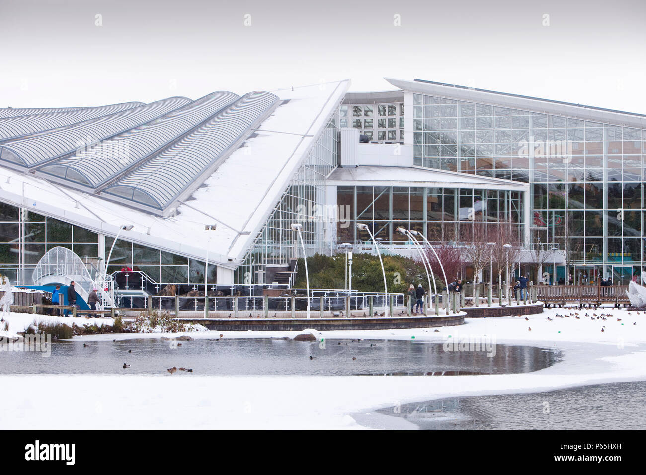 The swimming pool centre at Winfell Center Parcs near Penrith, Cumbria ...