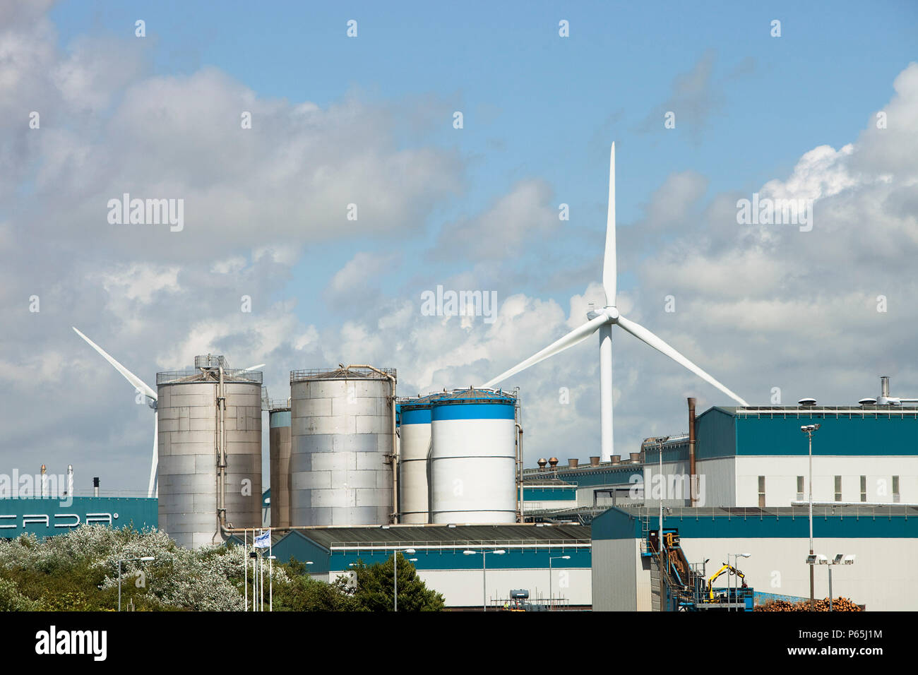 Wind turbines producing renewable electricity in the grounds of the ...
