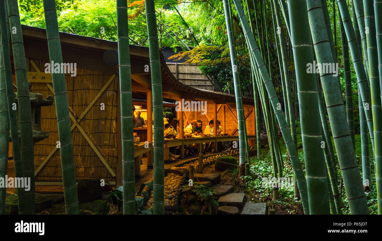 Amazing Tea house in a Japanese Bamboo Forest - TOKYO / JAPAN - JUNE 17 ...