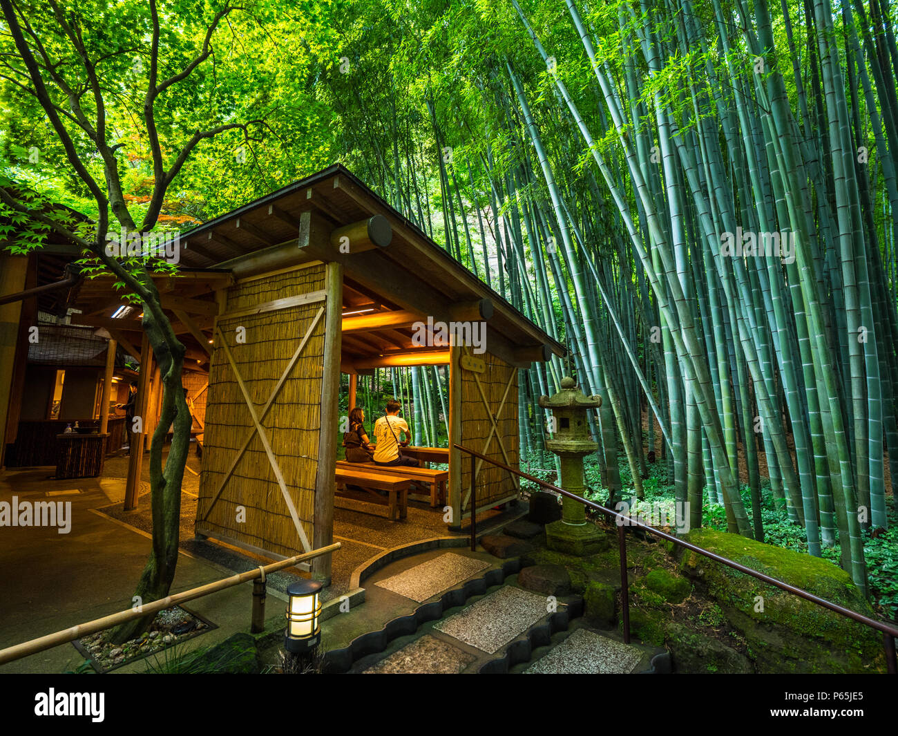 Amazing Tea house in a Japanese Bamboo Forest - TOKYO / JAPAN - JUNE 17 ...