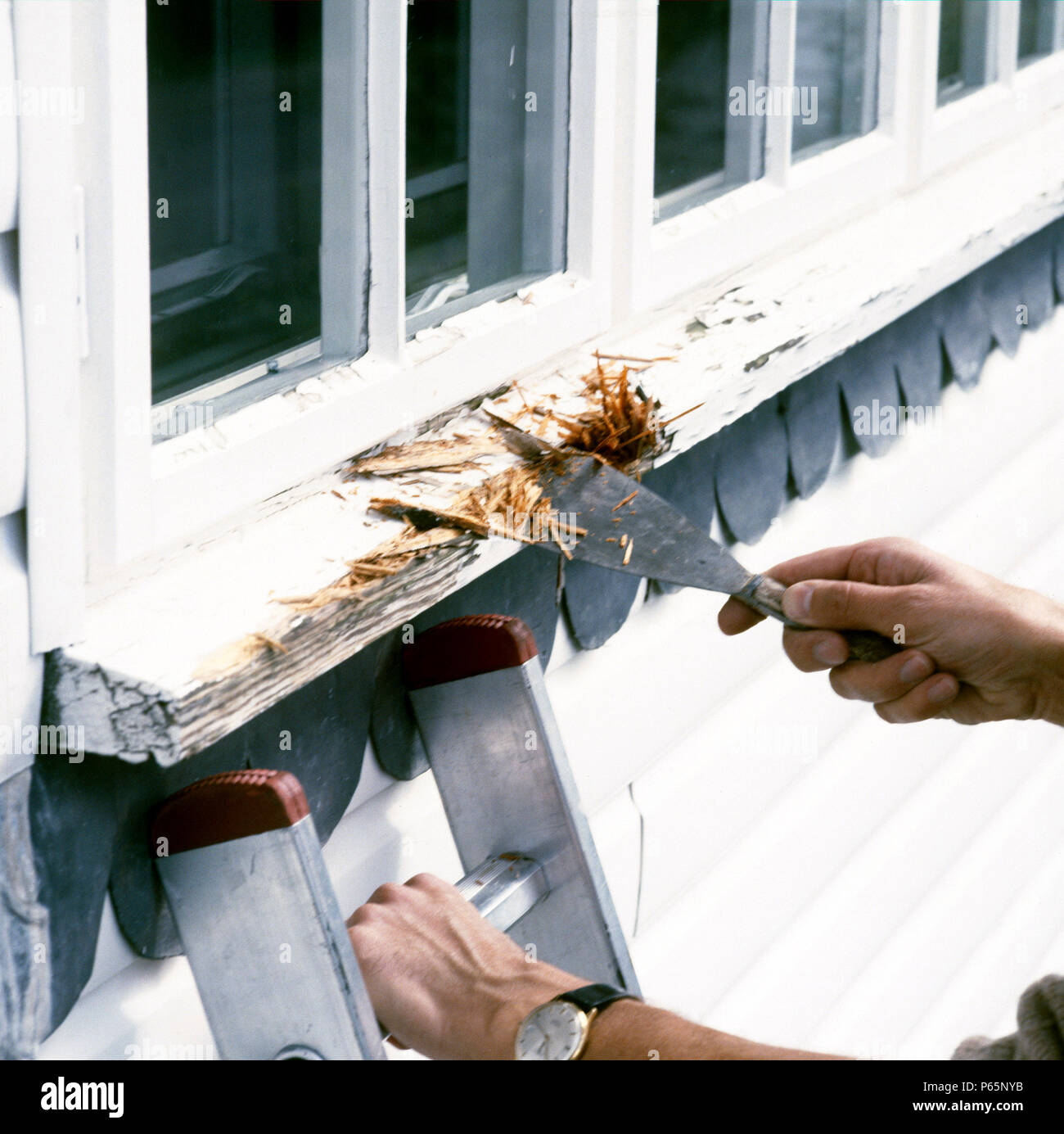 Repairing a damaged window Stock Photo - Alamy