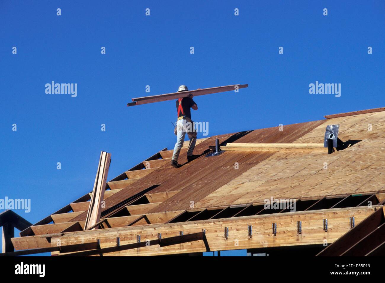 Lumber operations hi-res stock photography and images - Alamy