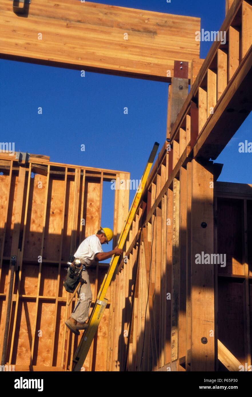 Carpenter on ladder in large wood frame structure Stock Photo - Alamy