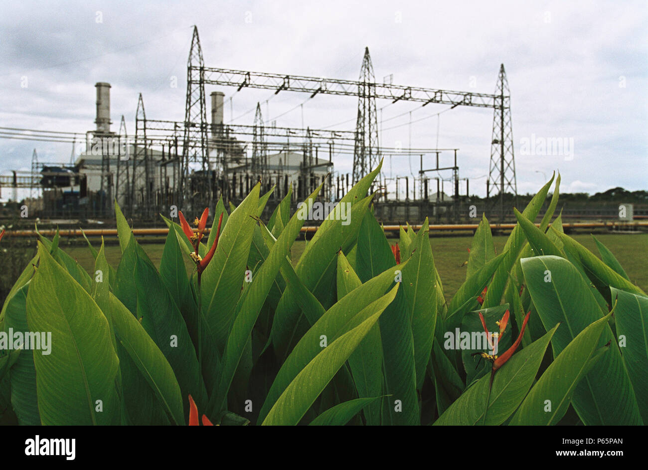 First Gas Holdings, Gas powered electricity power station, Philippines ...