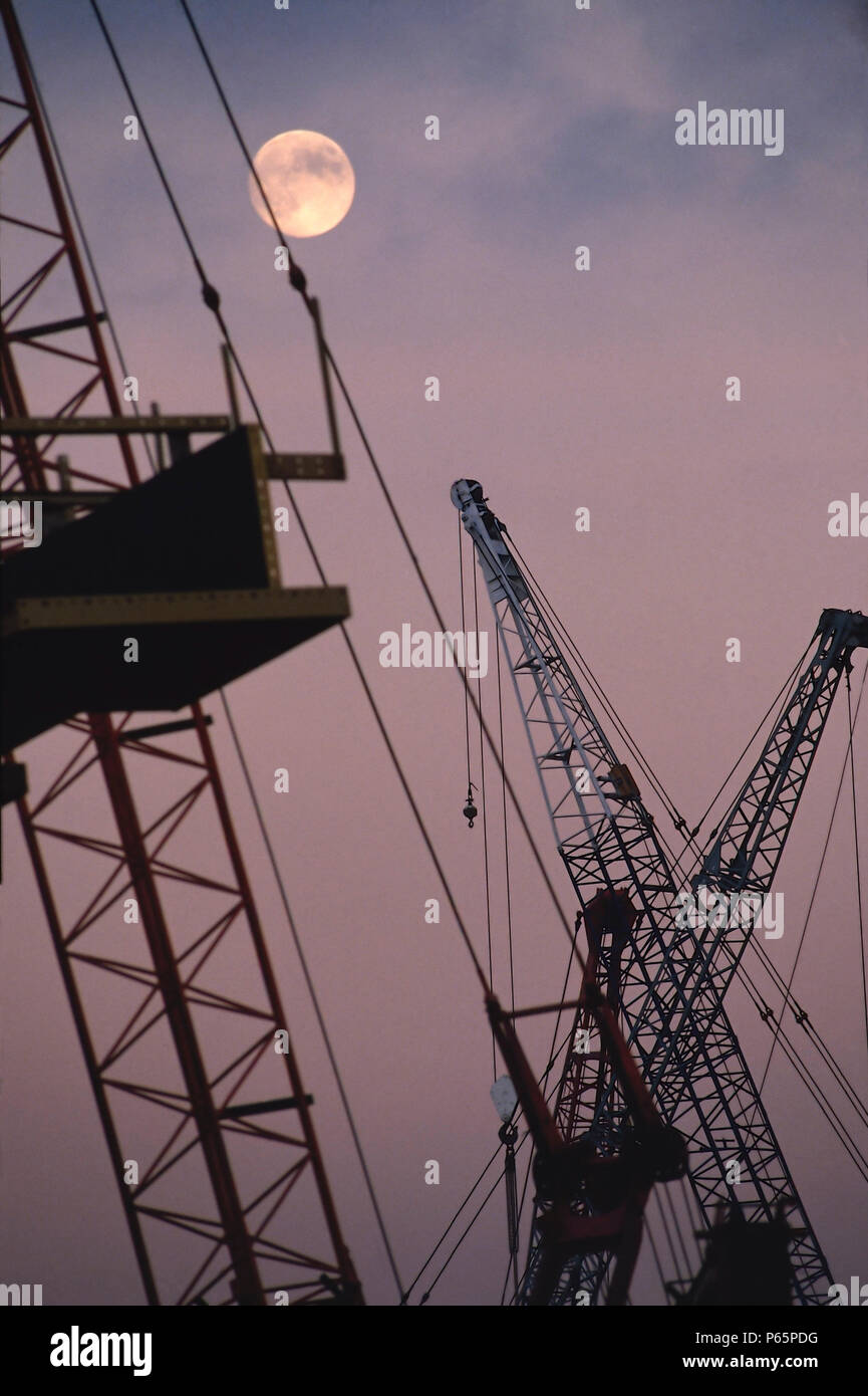 Forest of cranes at moonlight, Canary Wharf, London, United Kingdom ...