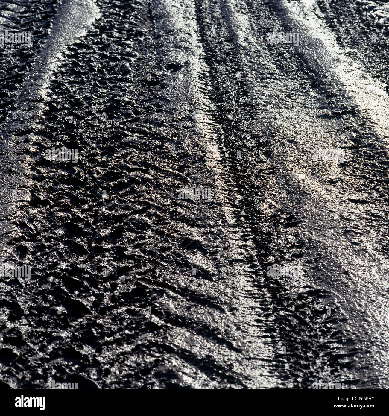 Mud prints hi-res stock photography and images - Alamy