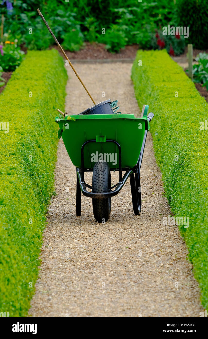 green wheelbarrow on shingle path and clipped hedges, norfolk, england ...