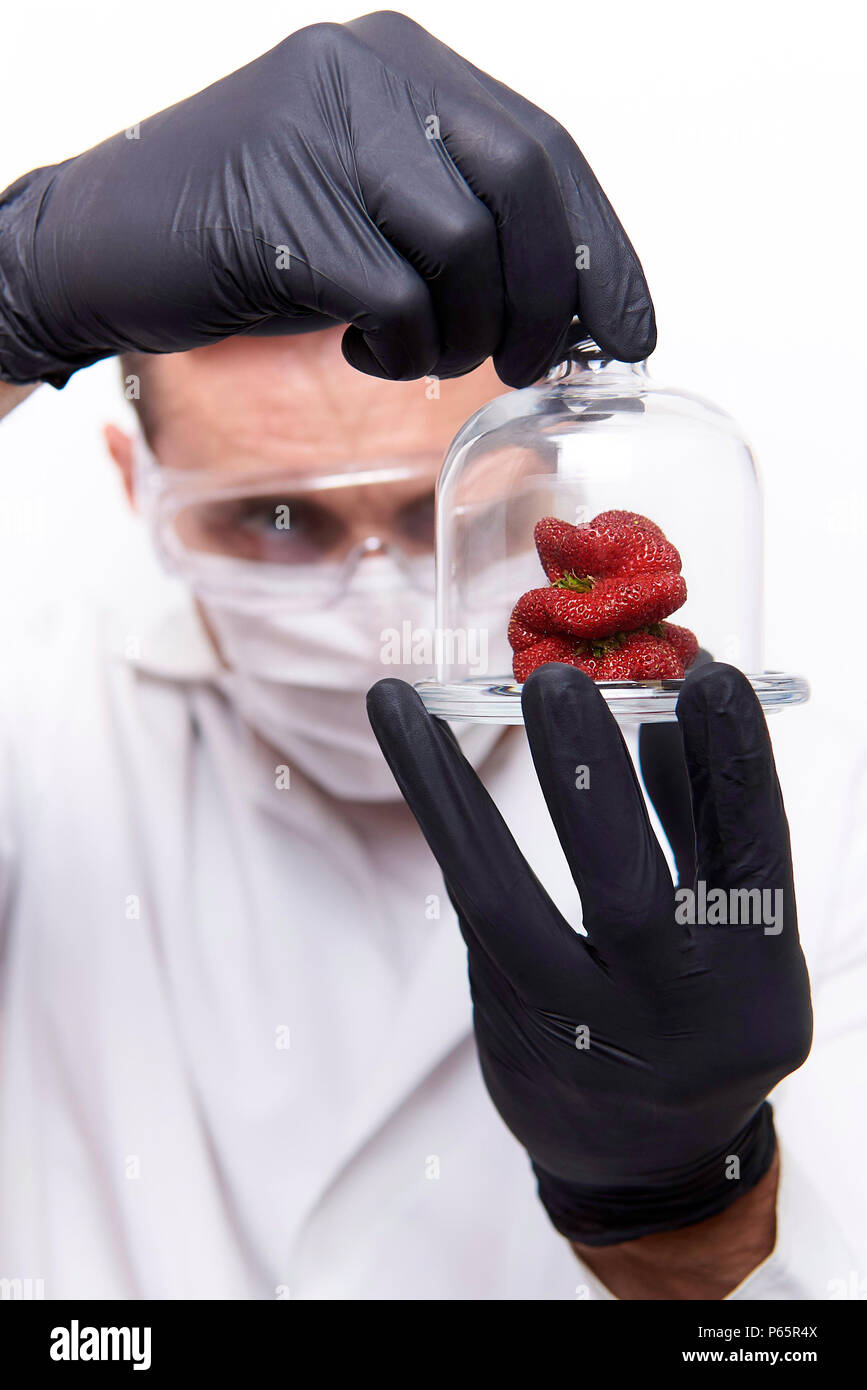 A strawberry of a strange shape under a glass cap in the hands of a ...