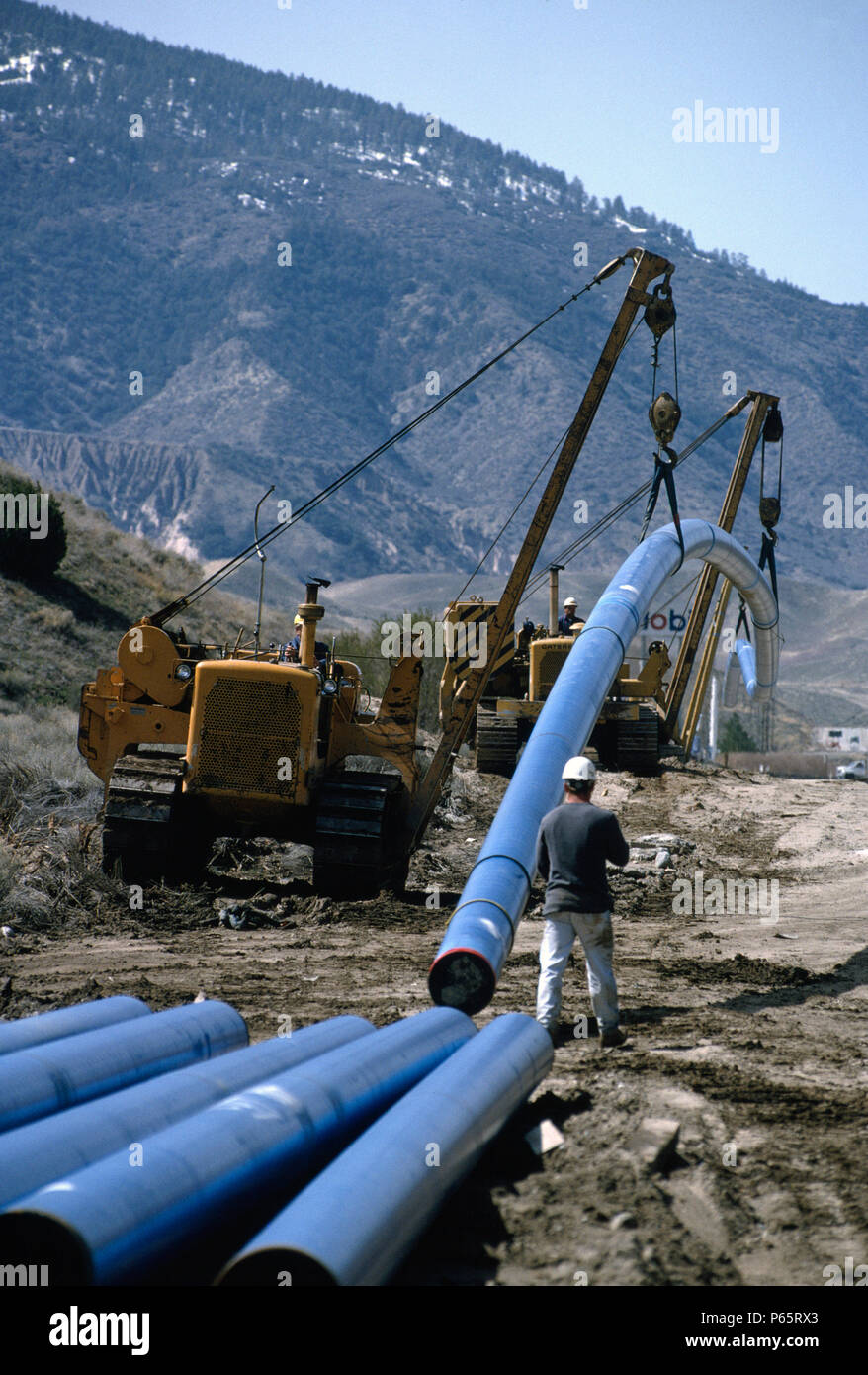 Tejon pass hi-res stock photography and images - Alamy