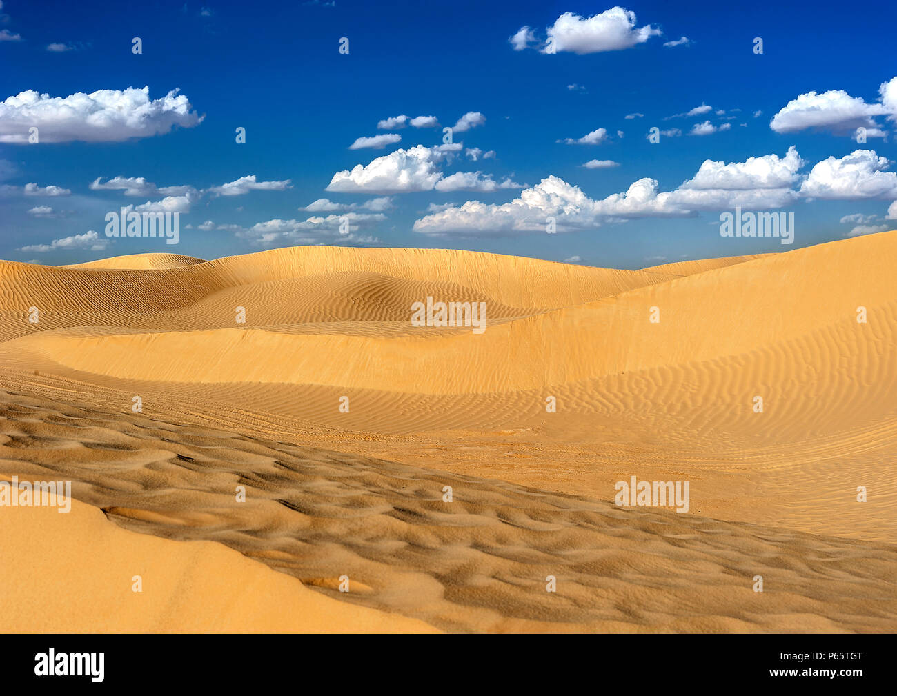 Sunset in the Sahara. Depending on the position of the light, sand ...