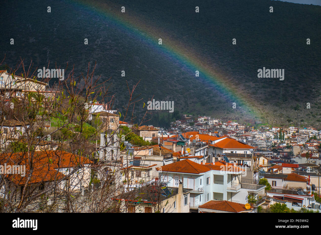 europe, greece, fokida, amfissa, city, olivetrees, rainbow Stock Photo ...