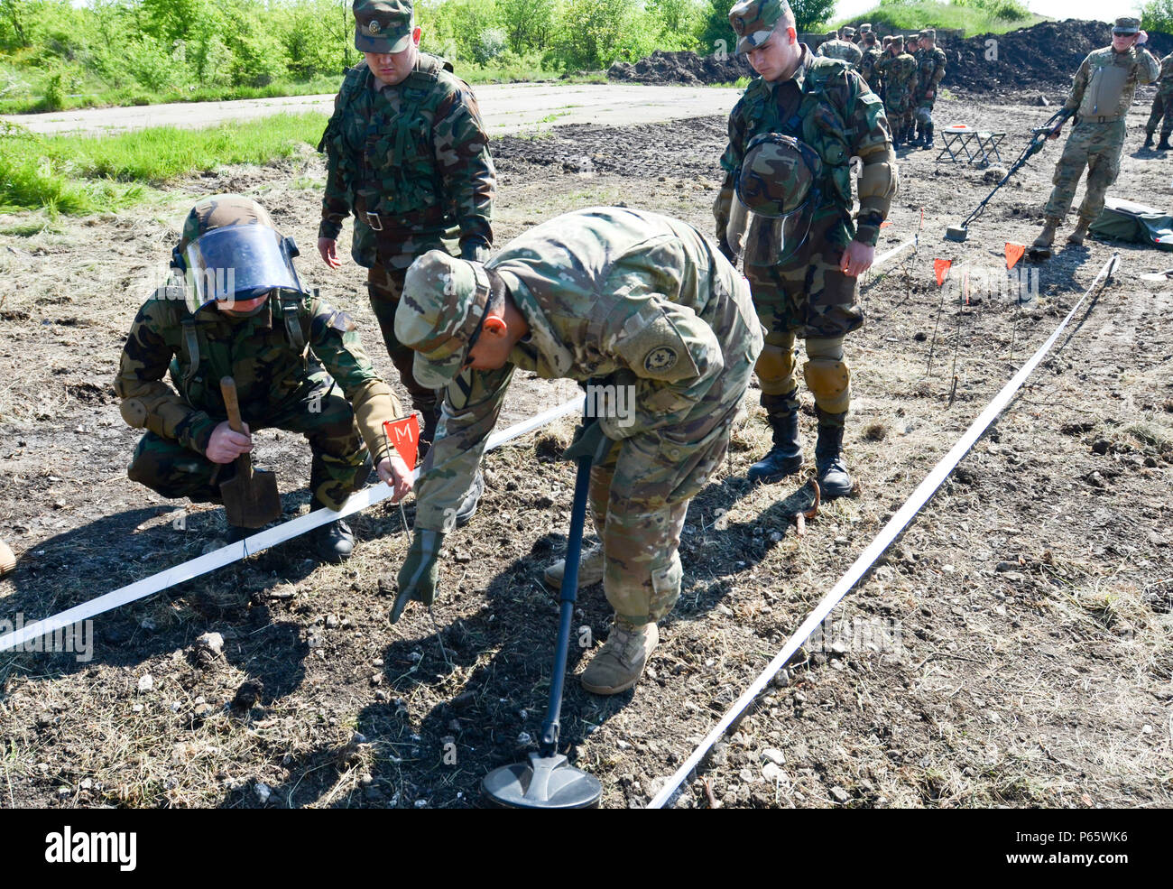 A Soldier from the Regimental Engineer Squadron, 2nd Cavalry Regiment ...