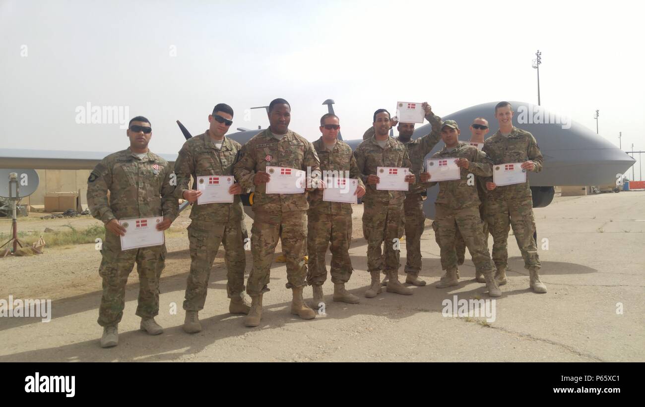 Nine Soldiers represented Company F, 227th Aviation Regiment, 40th ...