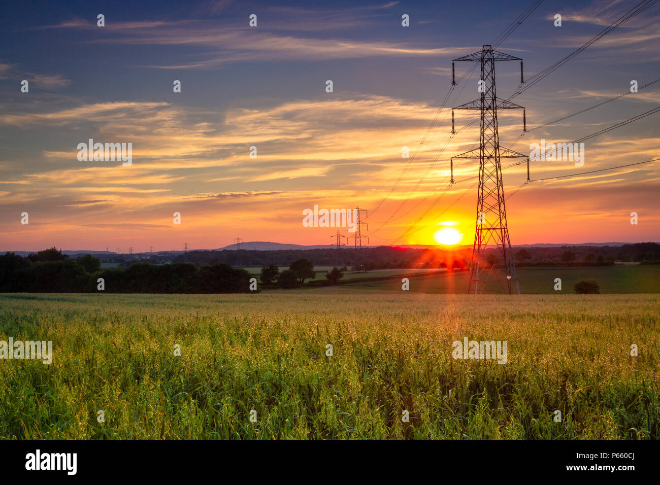 Straight spike hi-res stock photography and images - Alamy