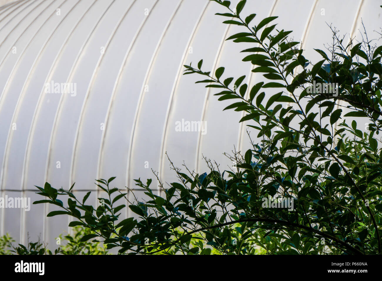 Lyon University, Diderot Library, Lyon, France Stock Photo - Alamy