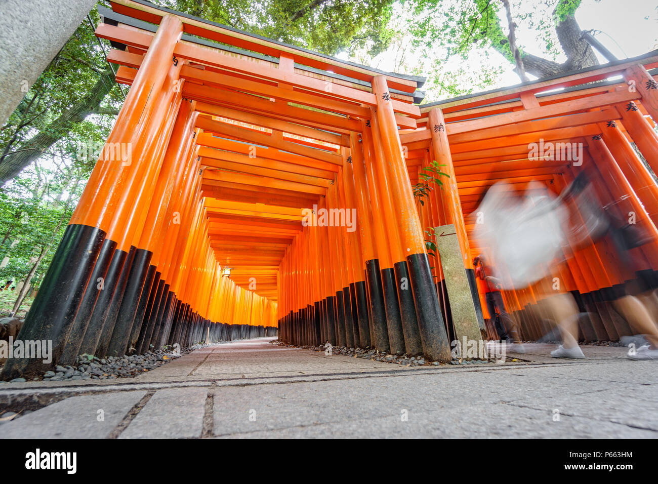 Worms eye view of Torii gates with blurred people Stock Photo - Alamy