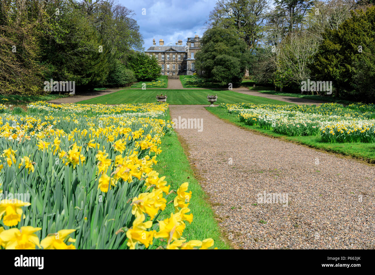 Lady hopetoun hi-res stock photography and images - Alamy
