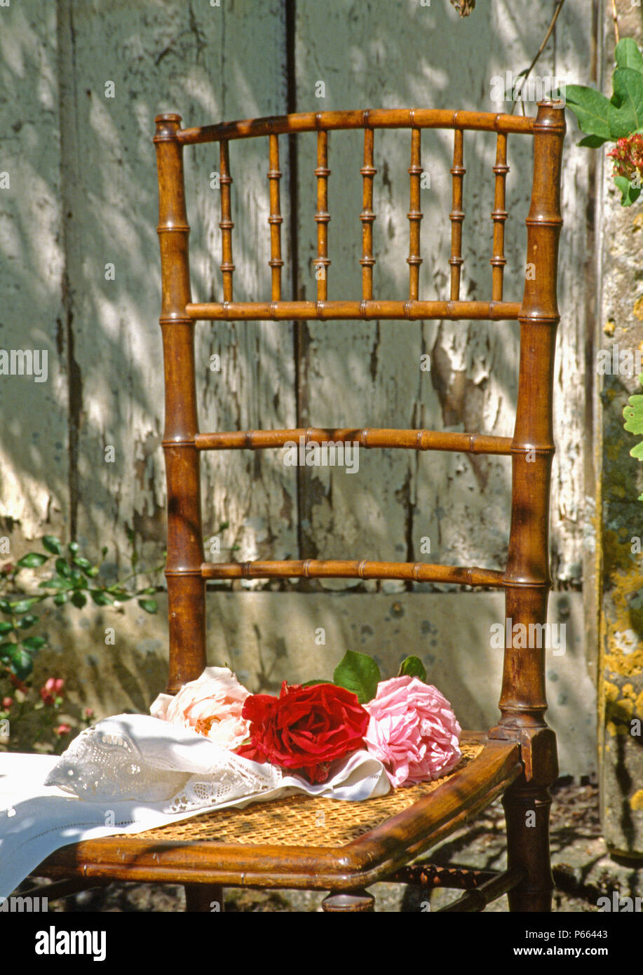 Still-Life of pink and red roses on a vintage bamboo chair Stock Photo ...