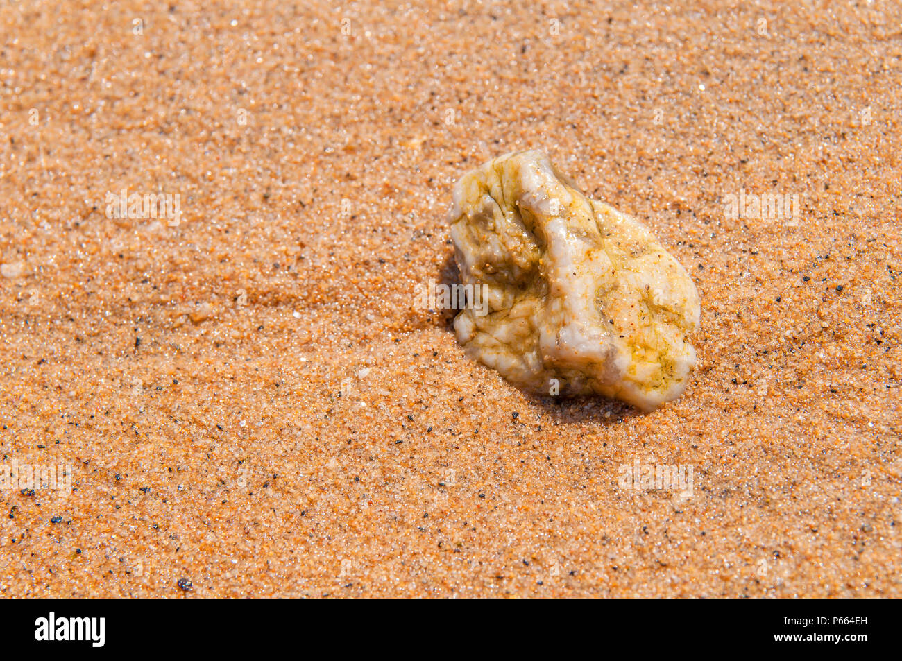 Sea pebble stone on sand Stock Photo - Alamy
