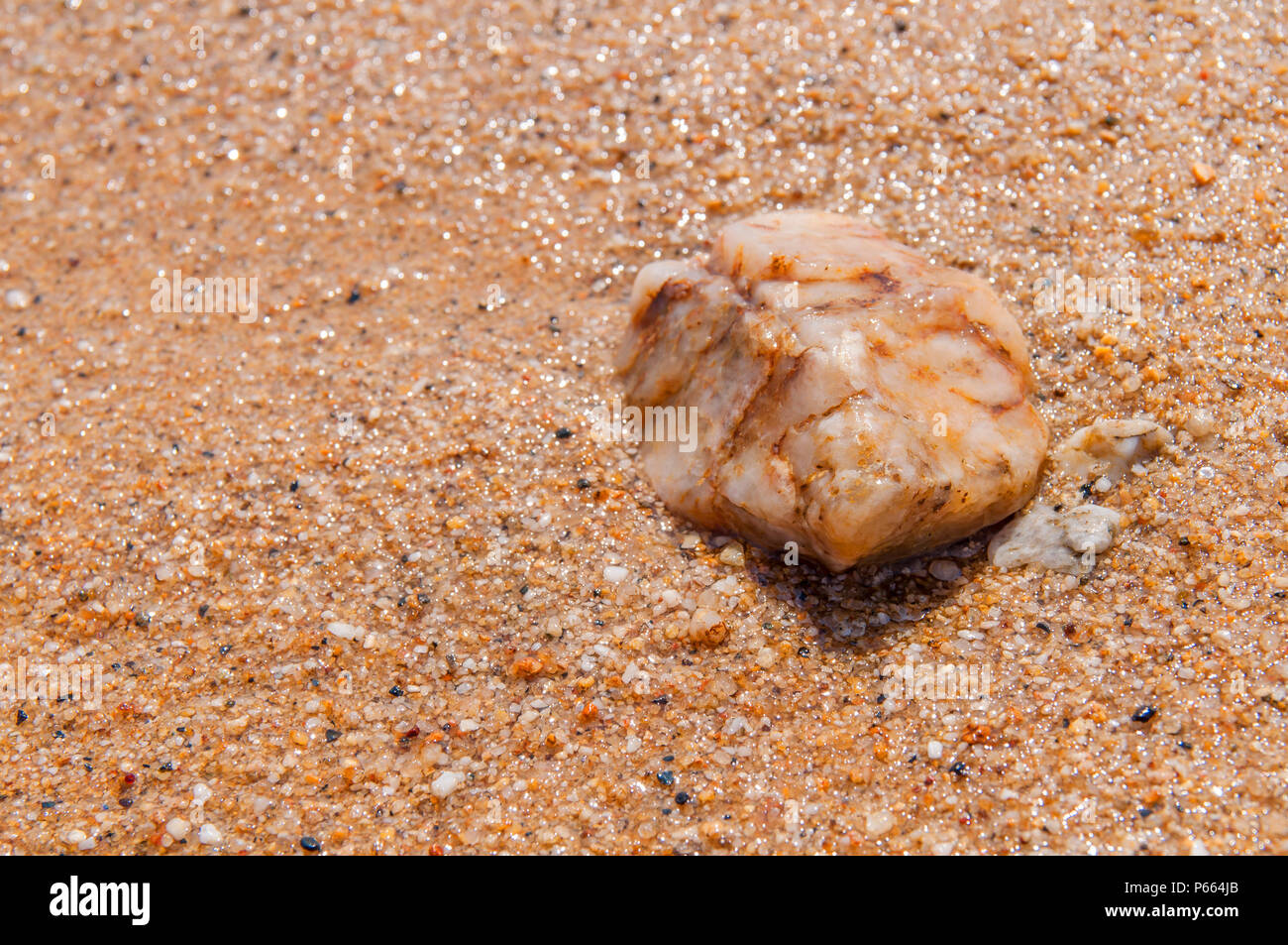 Sea pebble stone on sand Stock Photo - Alamy