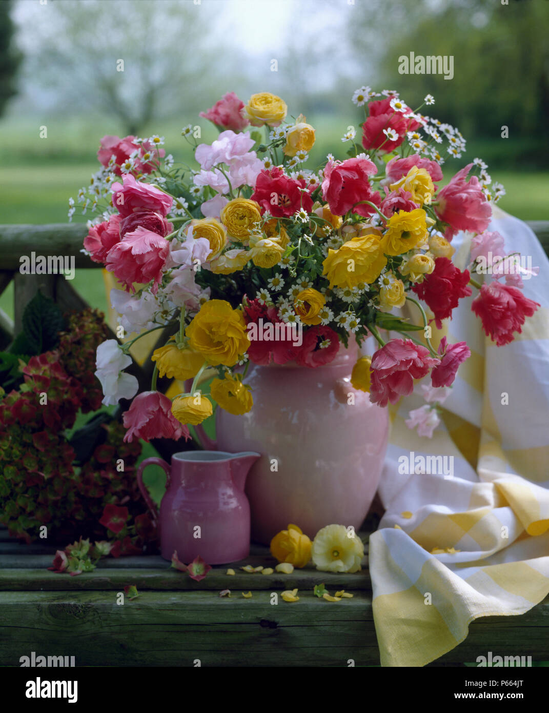 Still-Life of pink and yellow ranunculus in vase on garden bench Stock ...