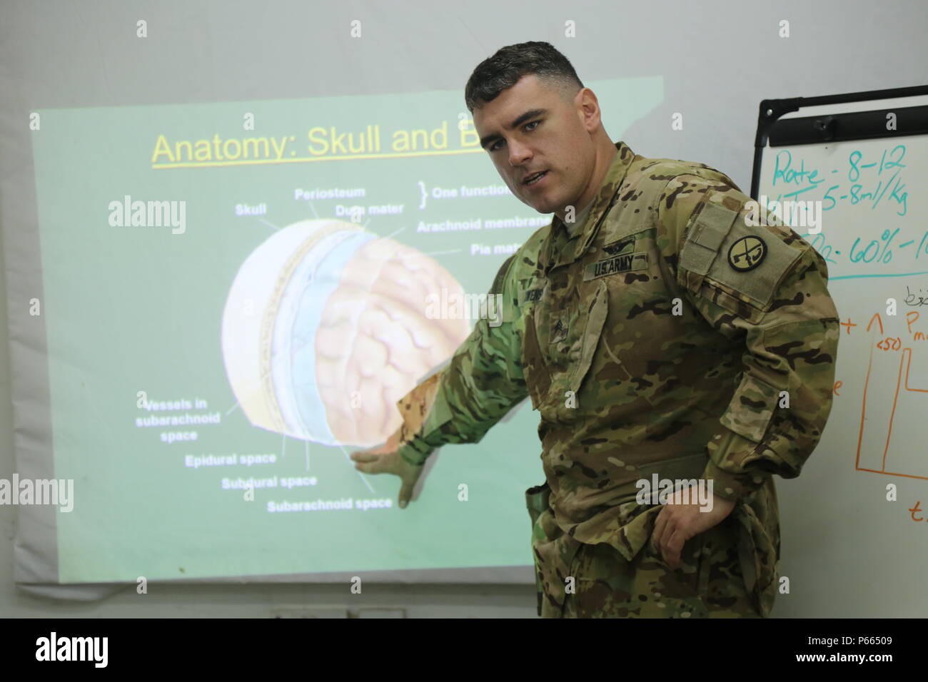 Force anatomy hi-res stock photography and images - Alamy