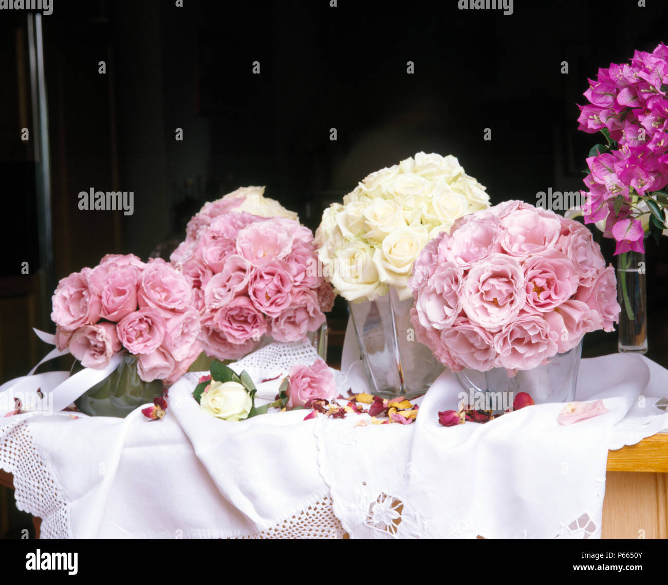 Posies hi-res stock photography and images - Alamy