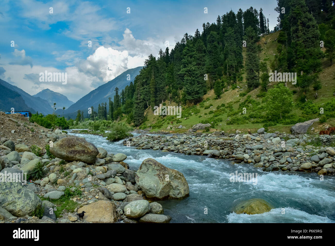 View of Pahalgam along with the river lidder flowing in the middle on a ...