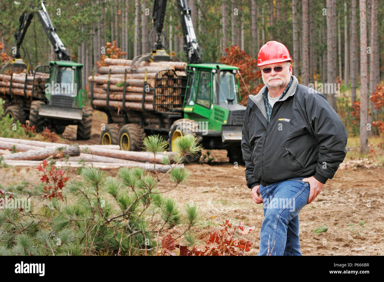 Timber harvesting, USA Stock Photo - Alamy
