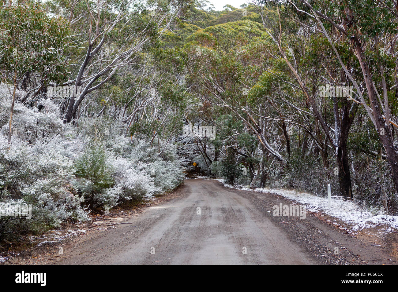 Snow collected on the side of the track leading up to Lithgows Hassans ...