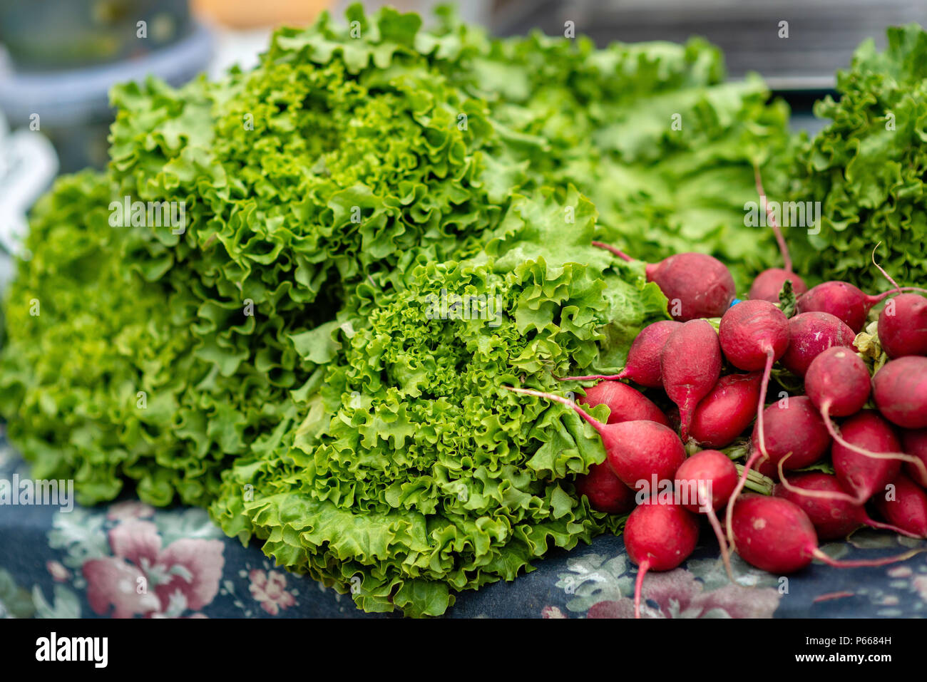 Closeup radishes leafy greens hi-res stock photography and images - Alamy