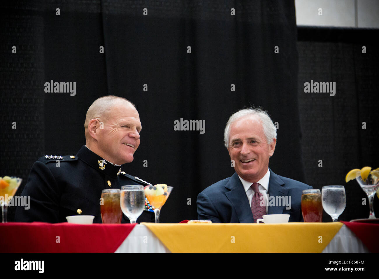 During the 67th Armed Forces luncheon on May 6, 2016, in Chattanooga ...
