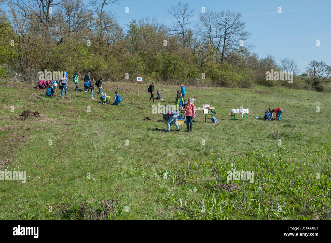 Children dig for worms in the earth as part of an Earth Day educational ...