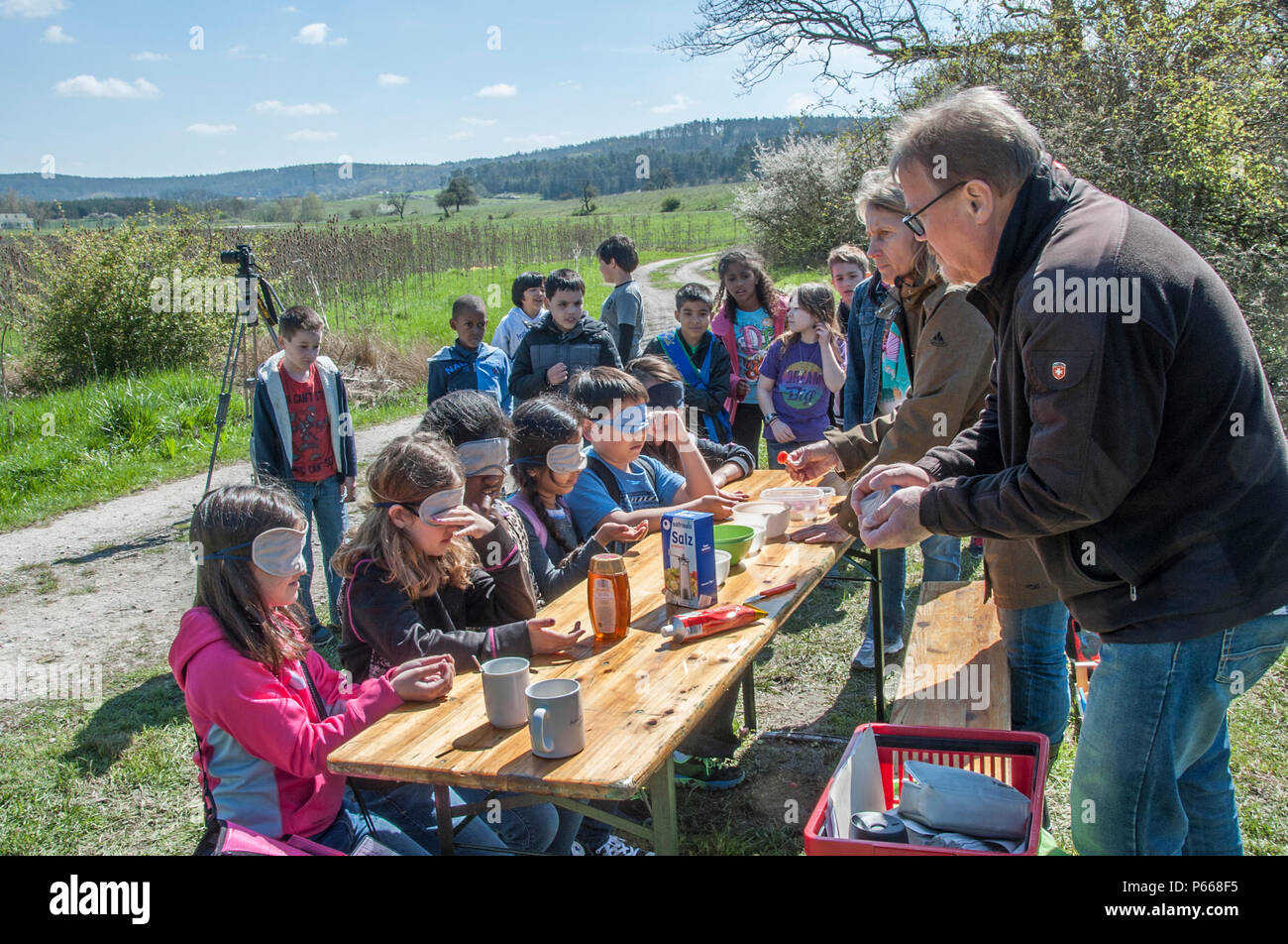 Children spend time at the “taste booth,” as they taste test organic ...