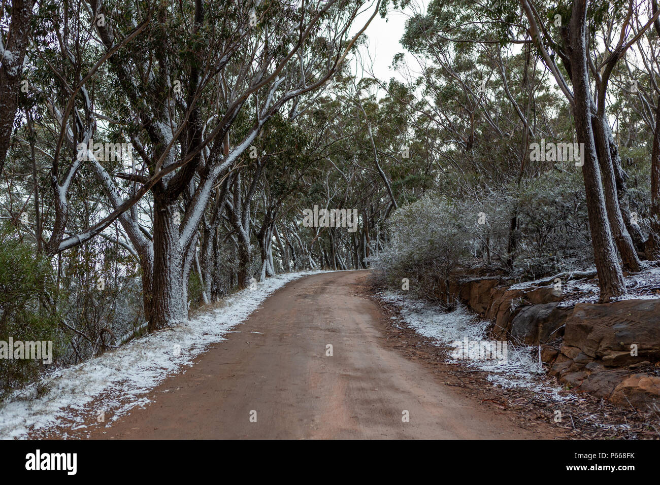 Snow collected on the side of the track leading up to Lithgows Hassans ...