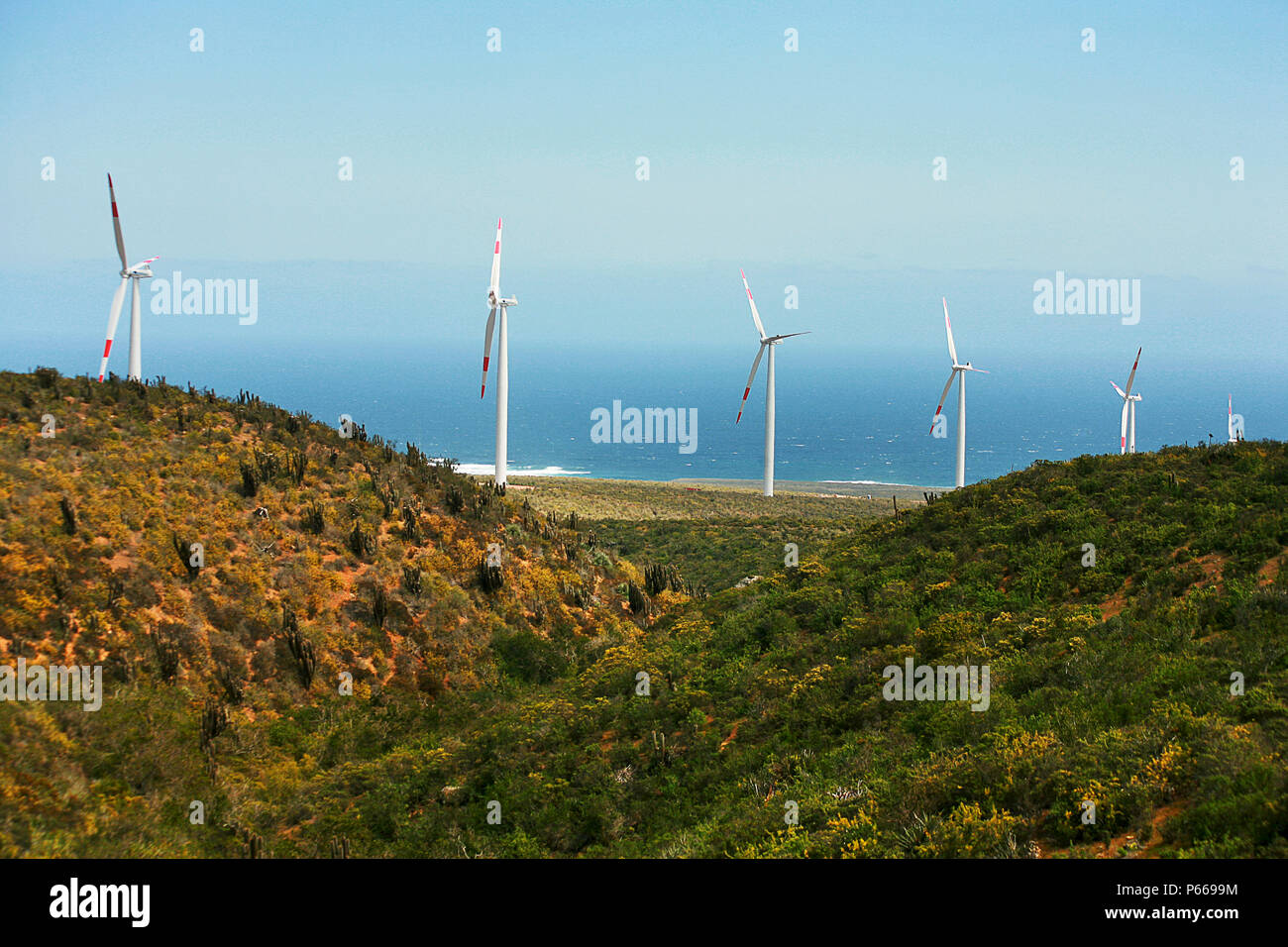 Wind Turbines at Seaside Stock Photo - Alamy