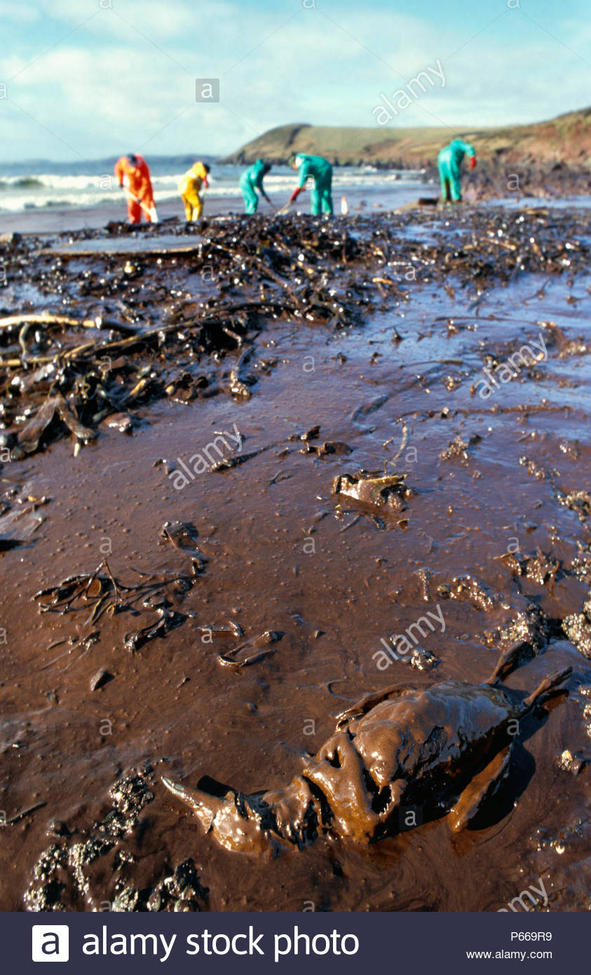 Sea Empress Disaster Stock Photos & Sea Empress Disaster Stock Images ...