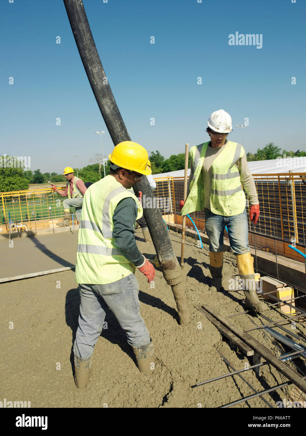 Men pouring concrete on to reinforced steel bar Stock Photo - Alamy