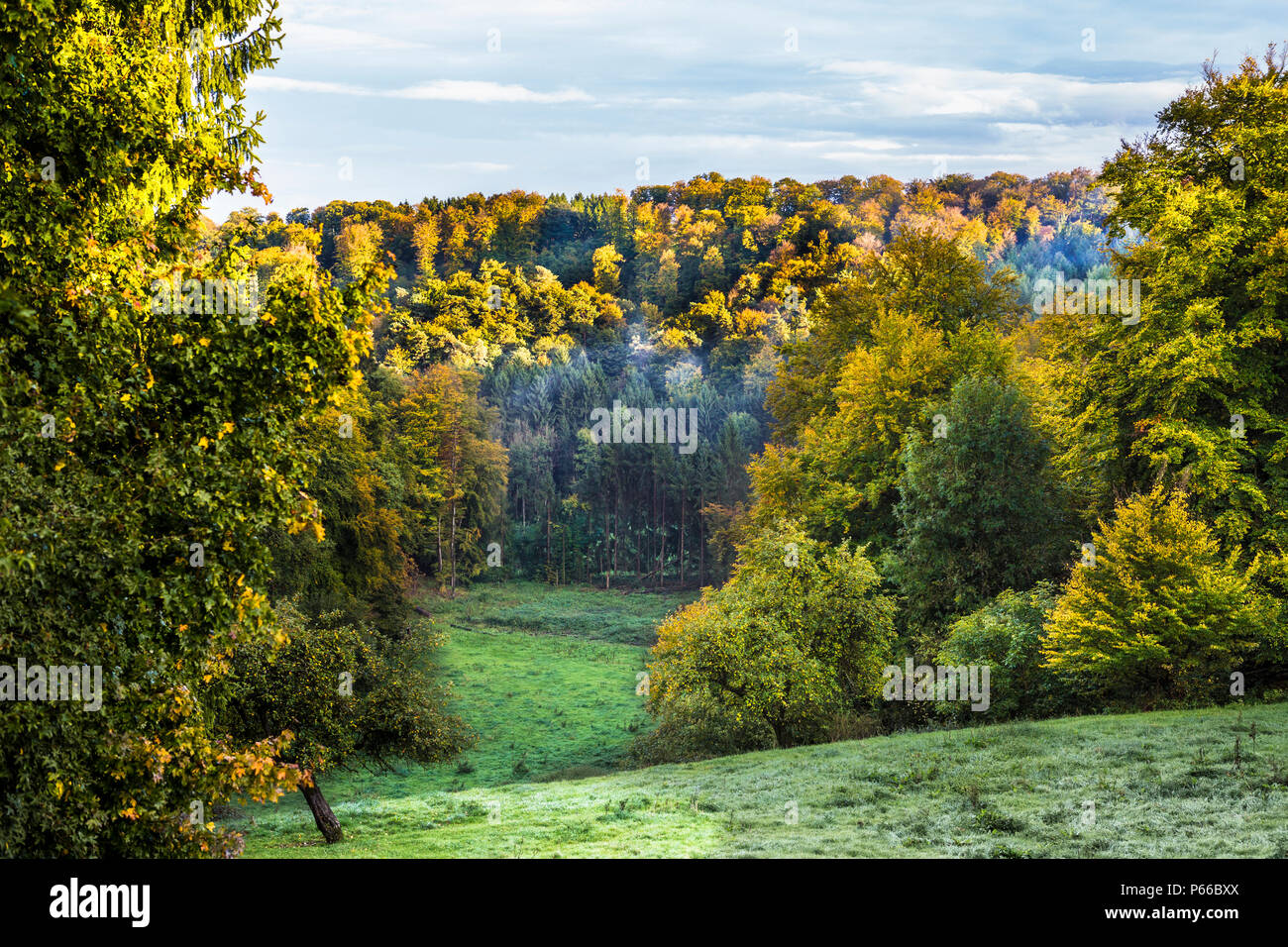 Countryside view of misty forest in autumn, Luxembourg, Central Europe ...